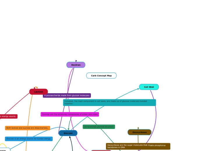 Carb Concept Map - Mind Map